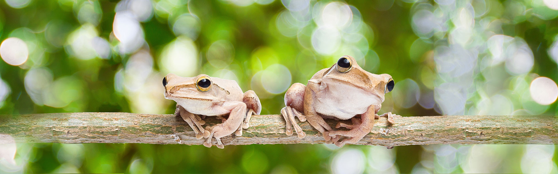 Haleakala Weather: How Maui's weather works