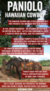 Hawaiian Paniolo: A Brief History
