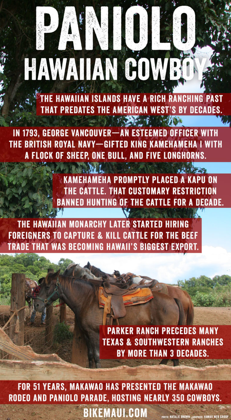 Hawaiian Paniolo: A Brief History